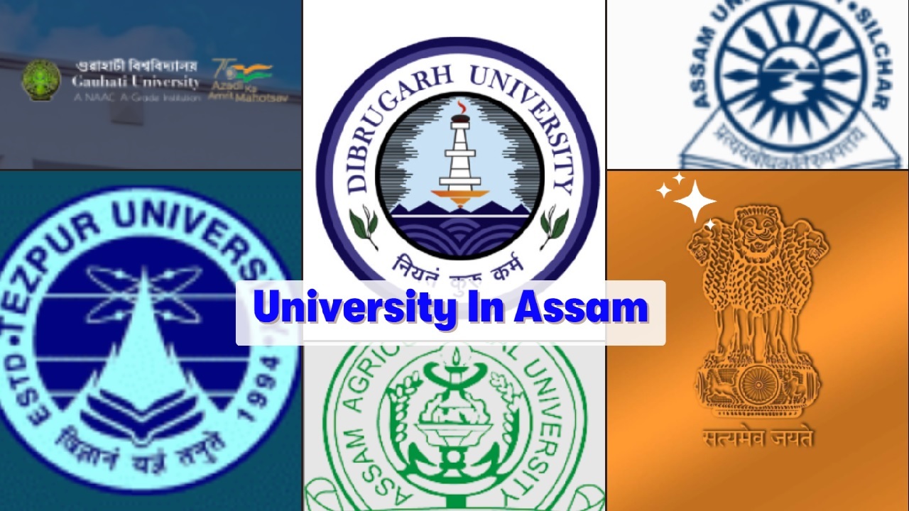 Top 12 University In Assam: Courses, Placement, Criteria, Fees, Website ...