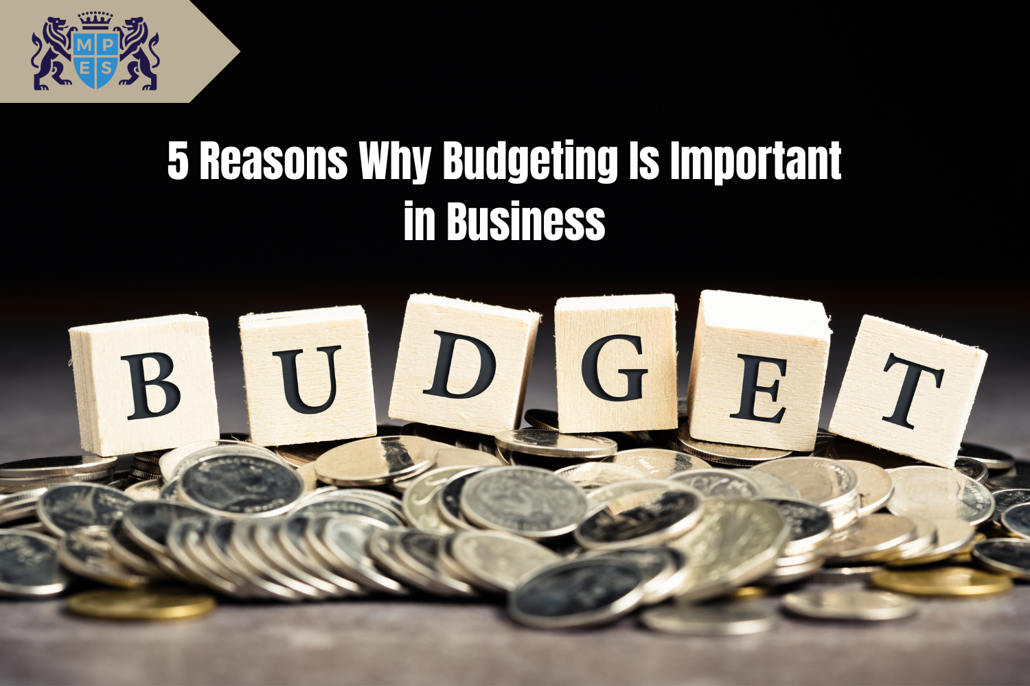 5 Reasons Why Budgeting Is Important in Business