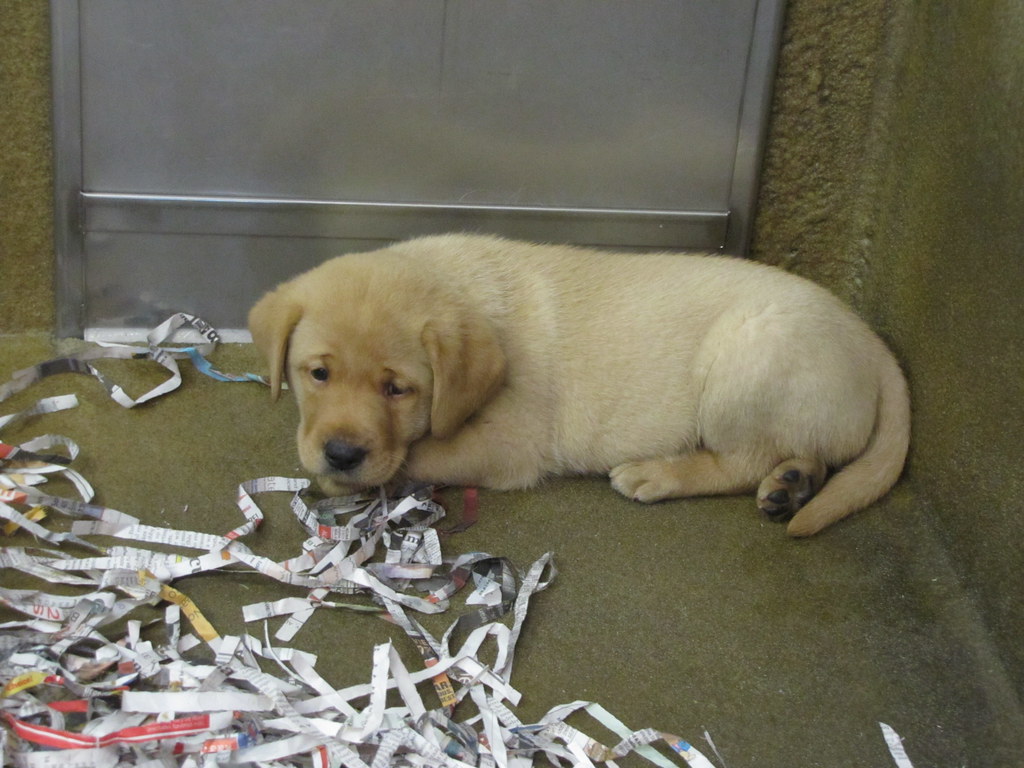 Xleche: Everything You Need to Know - Bharat Information